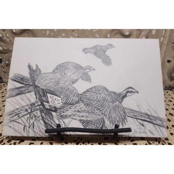 Art | Beautiful Pencil Drawing Art Of Pheasants 9 X 12 By June Nichols ...